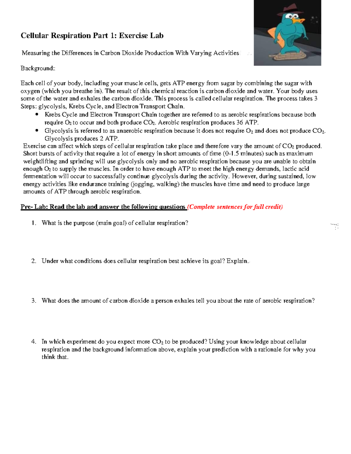Cellular Respiration Lab: Measuring CO2 Differences in Exercise Effects ...