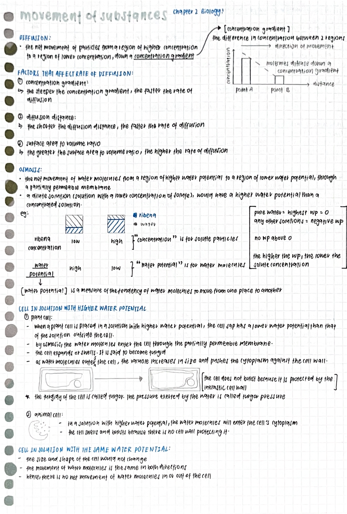 Biology Notes: Movement of Substances (Chapter 2) - Studocu