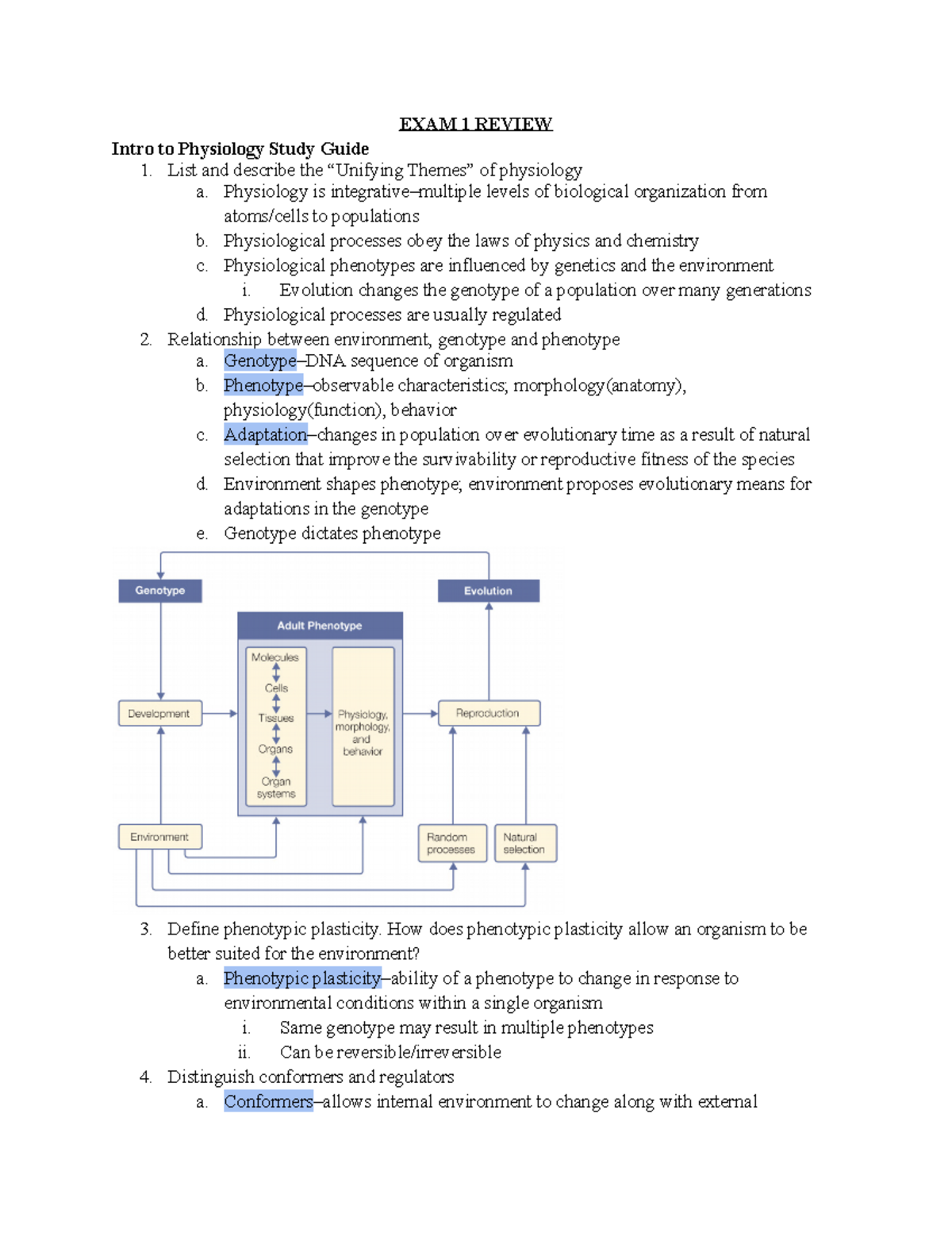 EXAM 1 Study Guide - Exam 1 content review. - EXAM 1 REVIEW Intro to ...