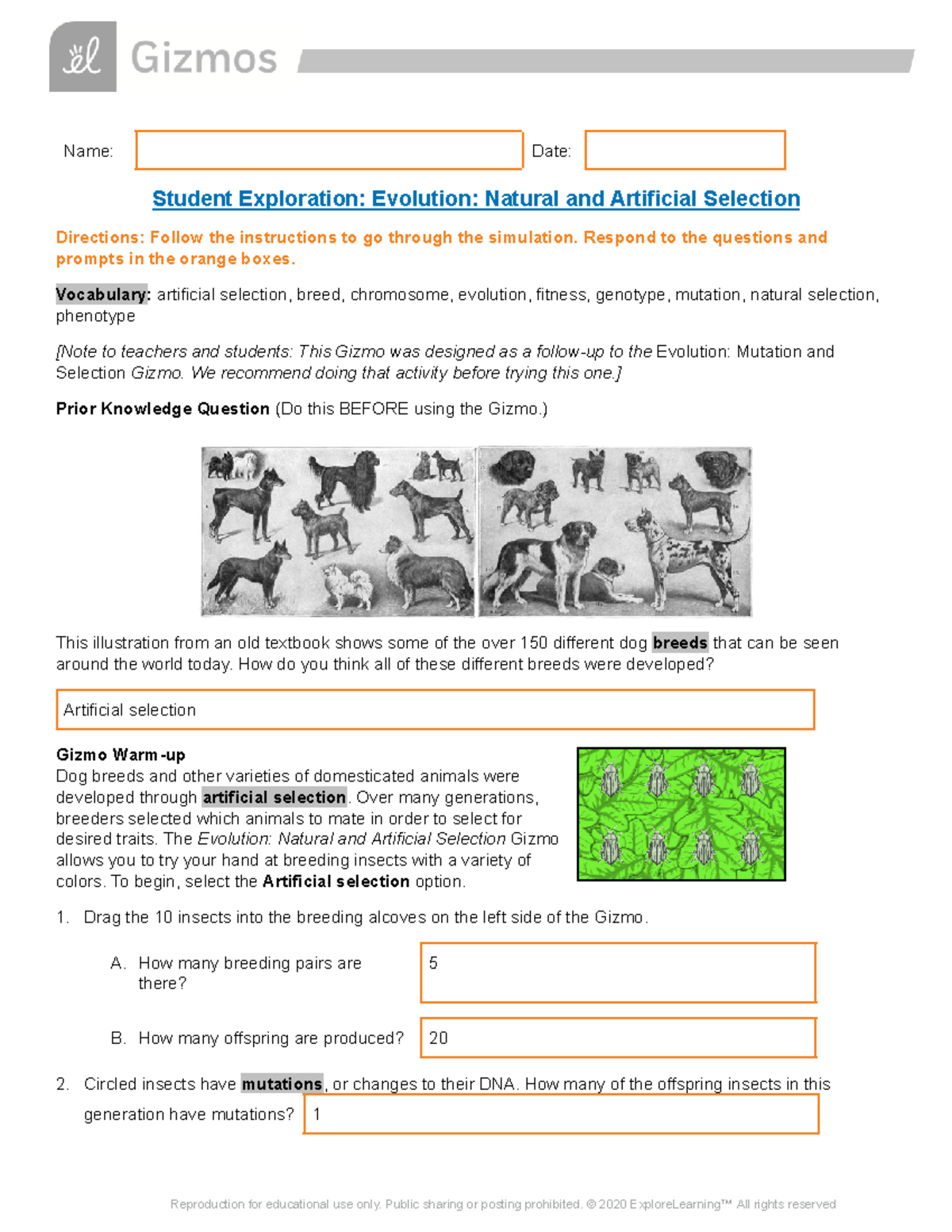 Evolution: Natural and Artificial Selection Simulation Exploration ...