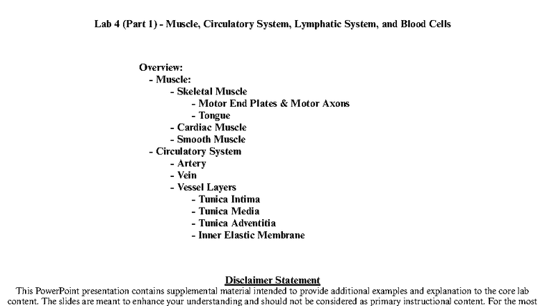 Lab 4 (Part 1) Overview: Muscle, Circulatory & Lymphatic Systems - Studocu