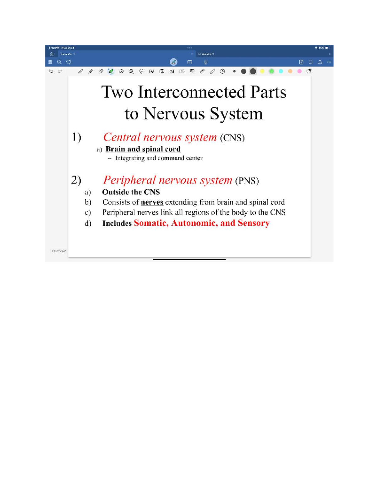 Final Exam Study Notes: Organization of the Nervous System (Stats 212 ...