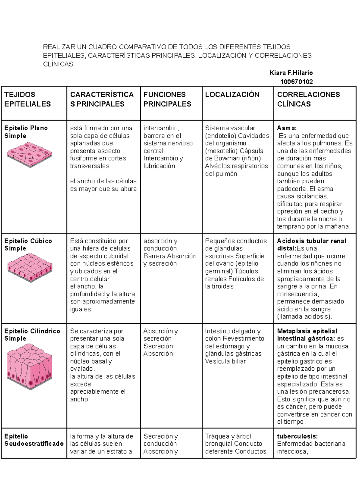 Cuadro Comparativo De Todos Los Diferentes Tejidos Epiteliales