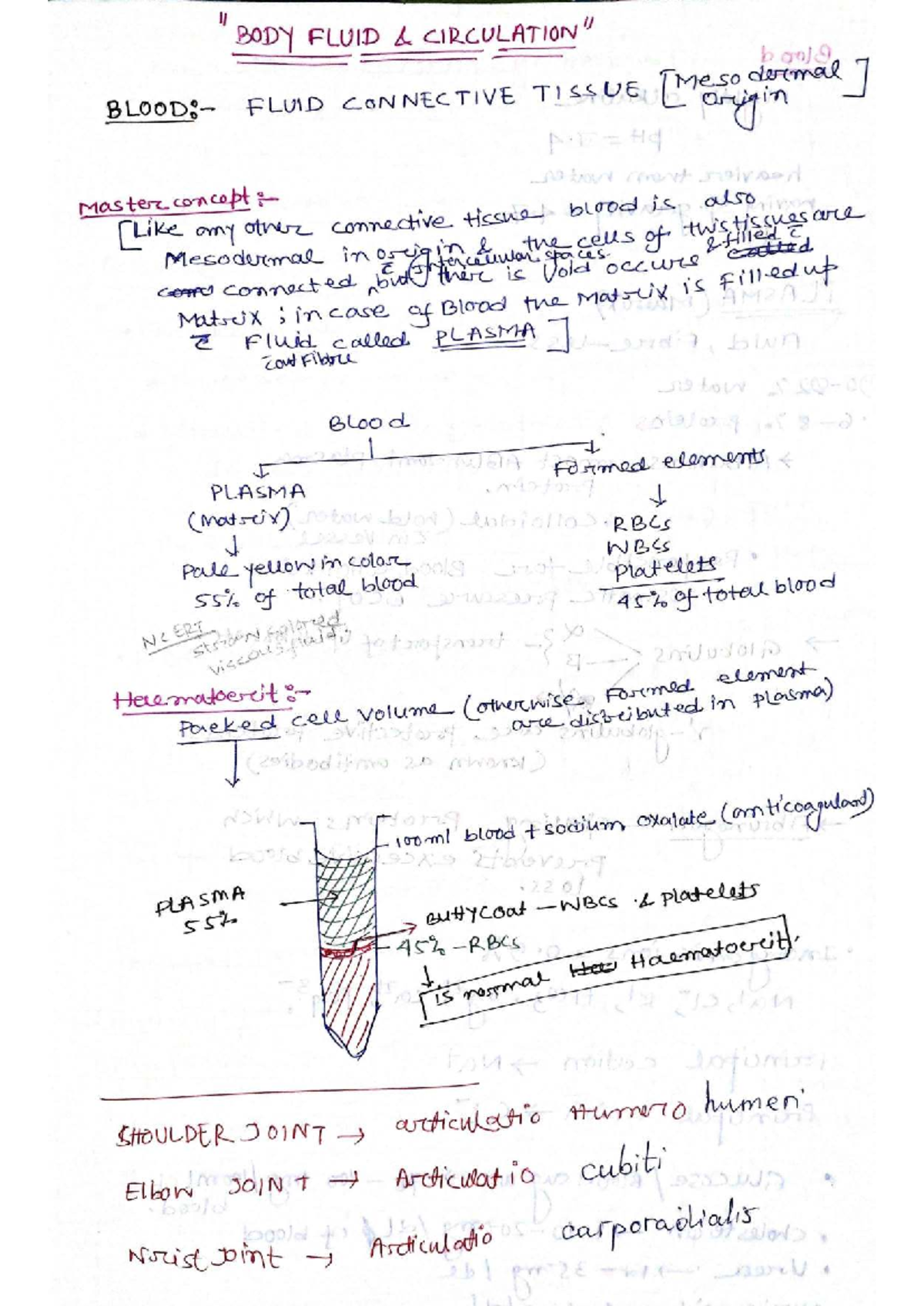 Fluid & Circulation: Connective Tissue and Blood Overview (FLUID B 0019 ...