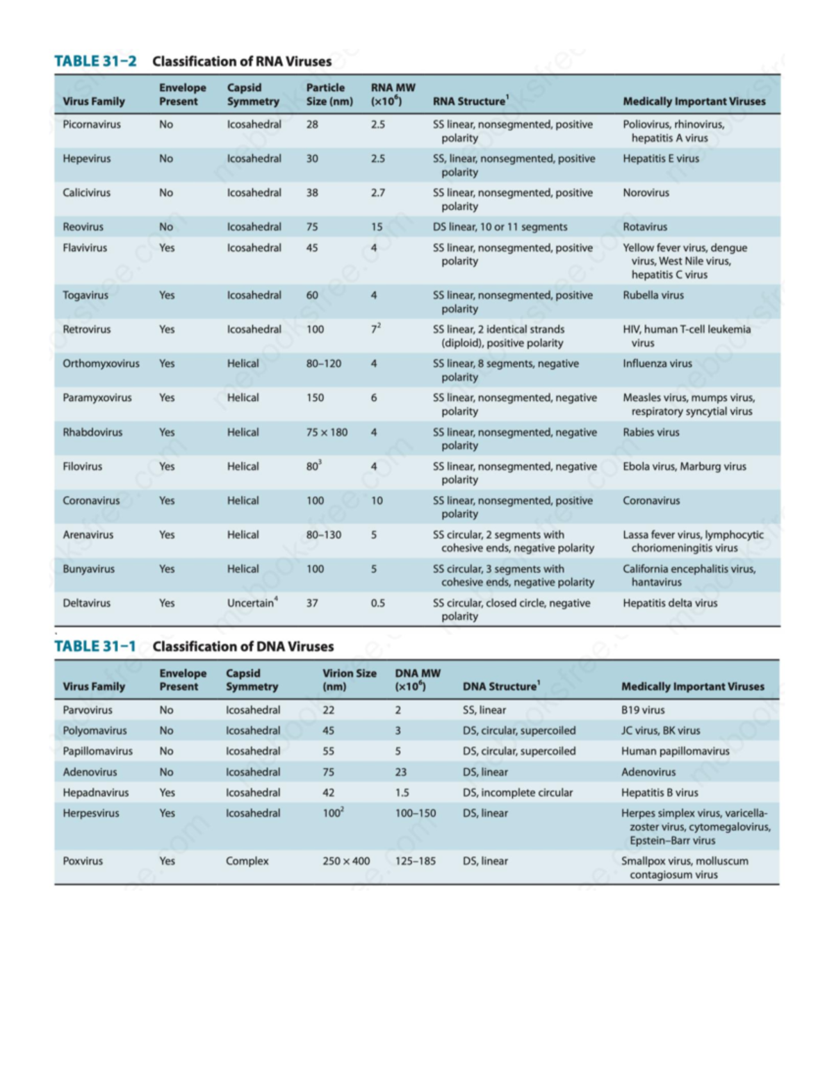 MICROVIRO: Compiled Tables of RNA and DNA Virus Classifications - Studocu