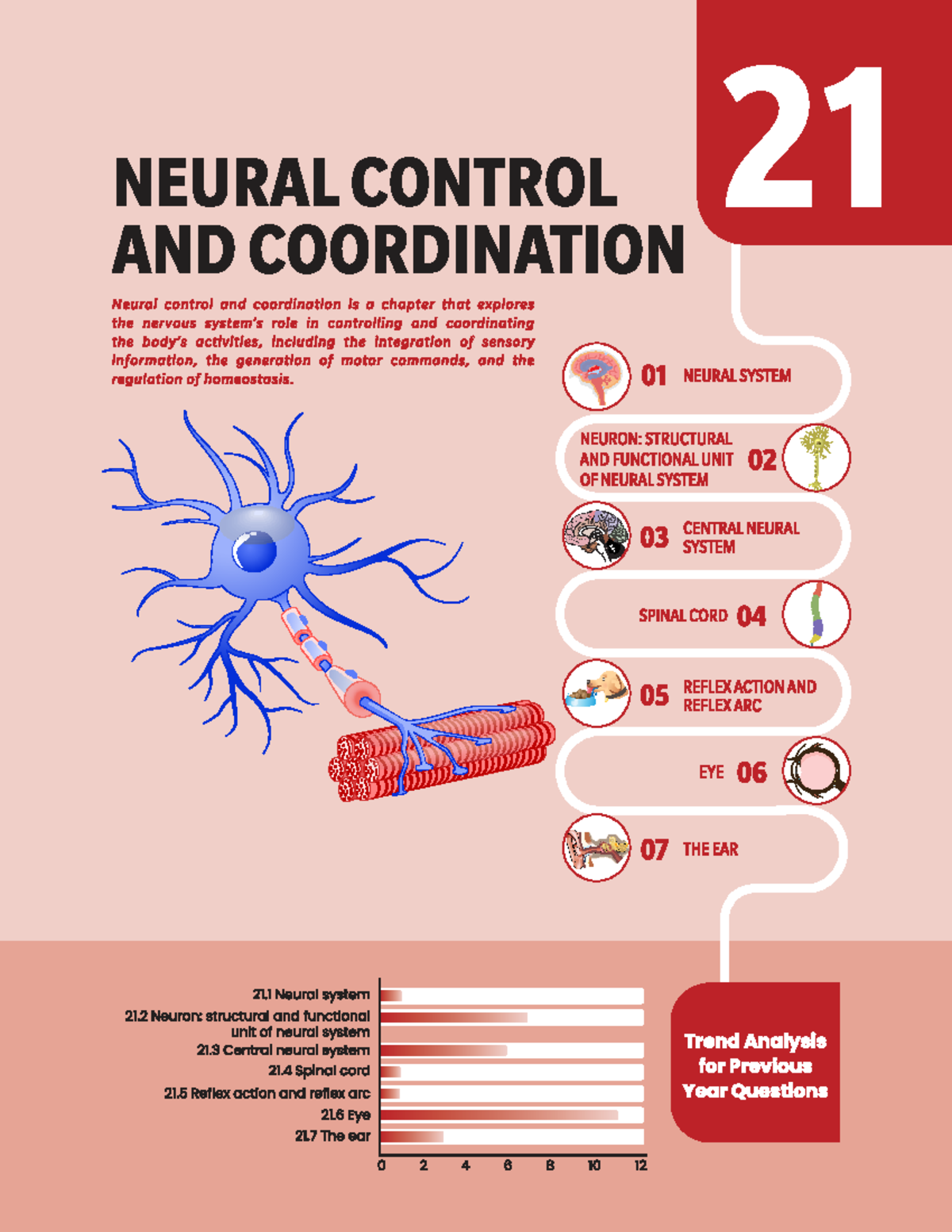 Ch 21: Neural Control and Coordination - Biology Class XI Notes - Studocu