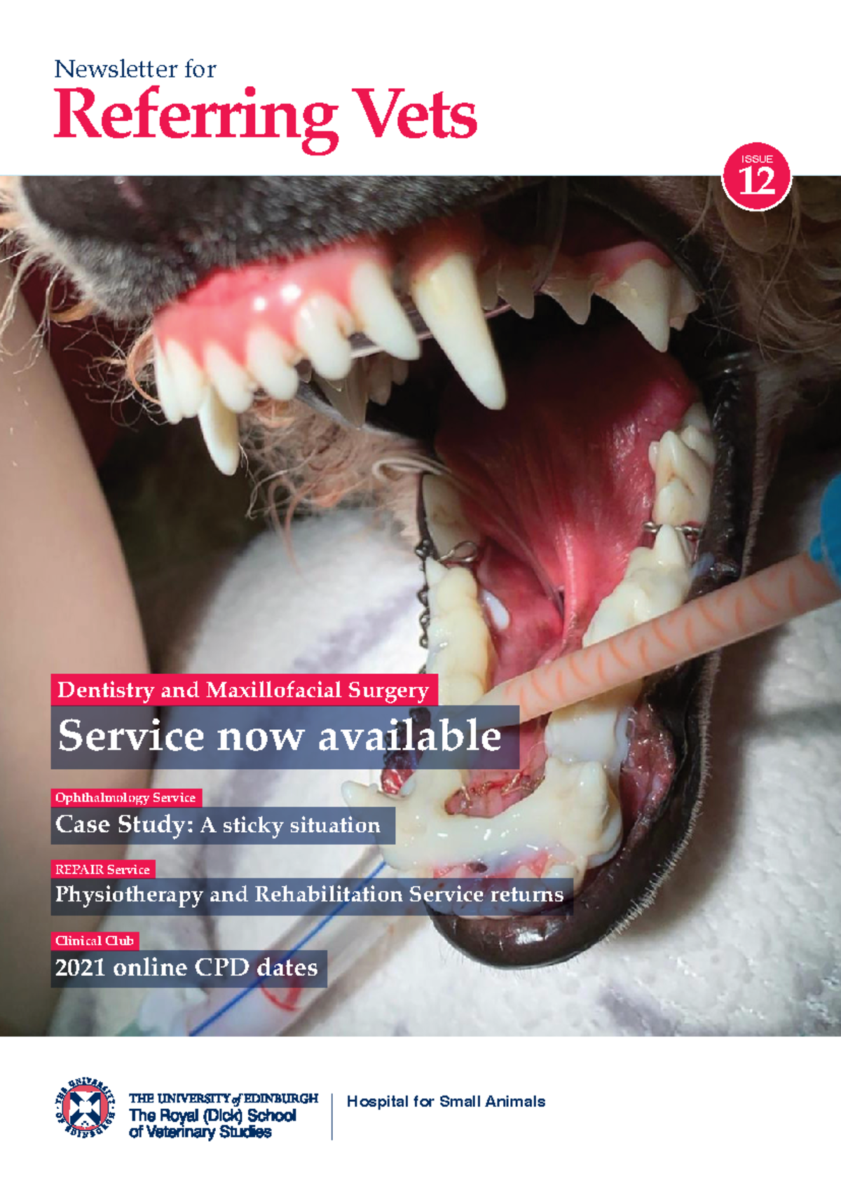 Hfsa referringvet mailer 12 - Referring Vets Newsletter for 12 ISSUE ...