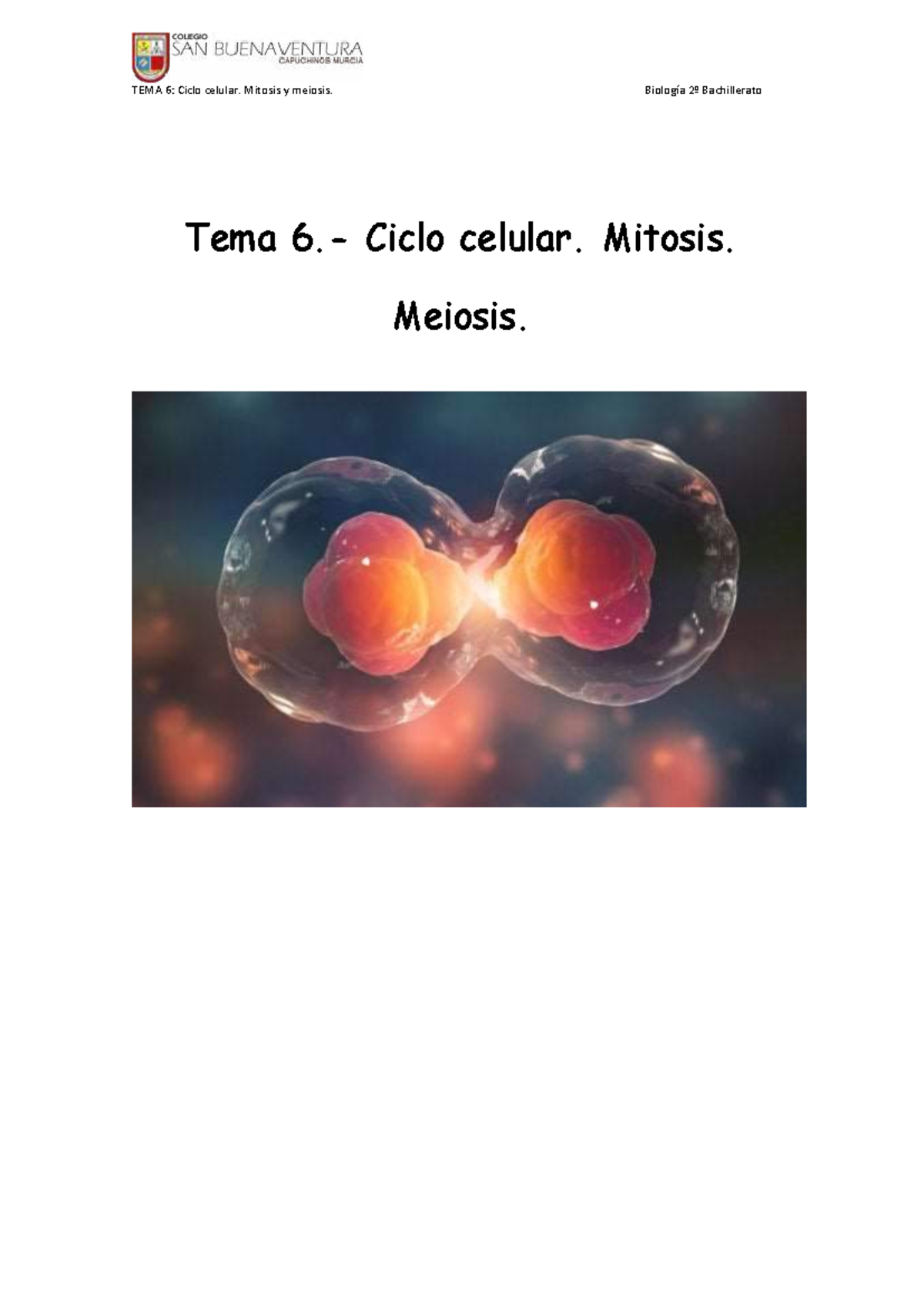 Tema 6: Ciclo Celular, Mitosis y Meiosis - Biología 2º Bachillerato ...