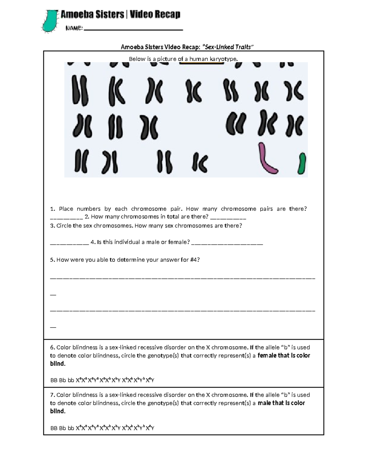 Amoeba Sisters Video Recap: Sex-Linked Traits Overview and Quiz - Studocu