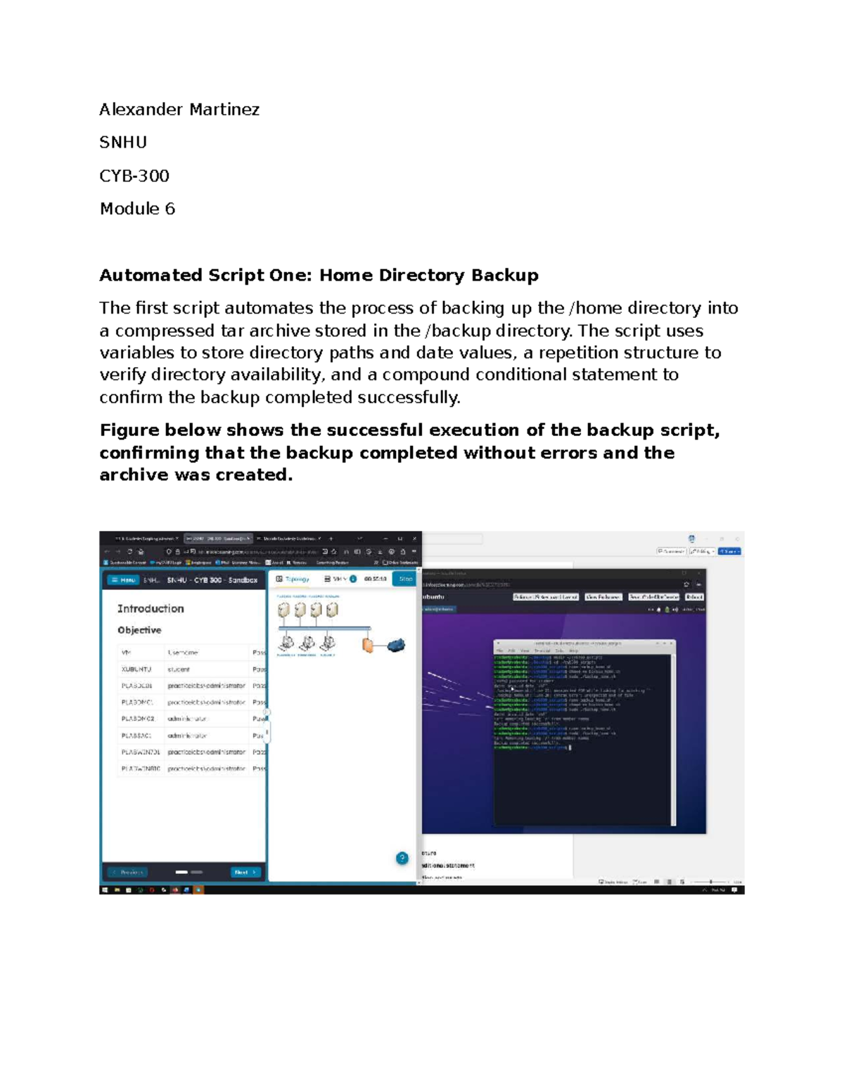 CYB 300 Module 6: Automated Scripts for Backup & Process Reporting ...