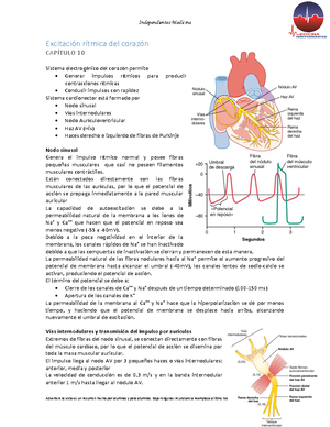 Resumen Guyton Cap 41 Fisiología - Transporte de oxígeno y dióxido de carbono en la sangre y los ...