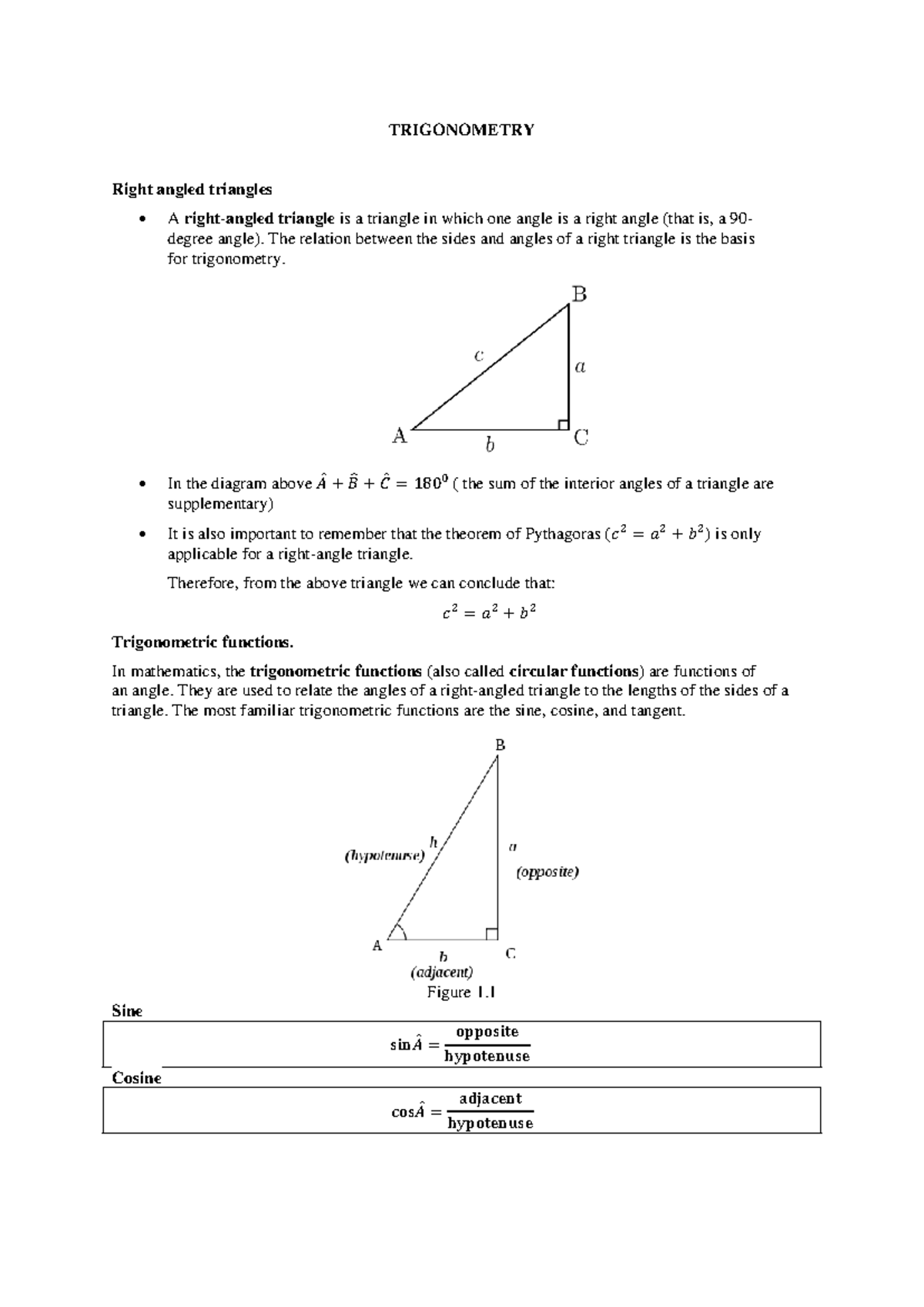 Grade 11 Trigonometry Notes: Right Angled Triangles & Identities ...