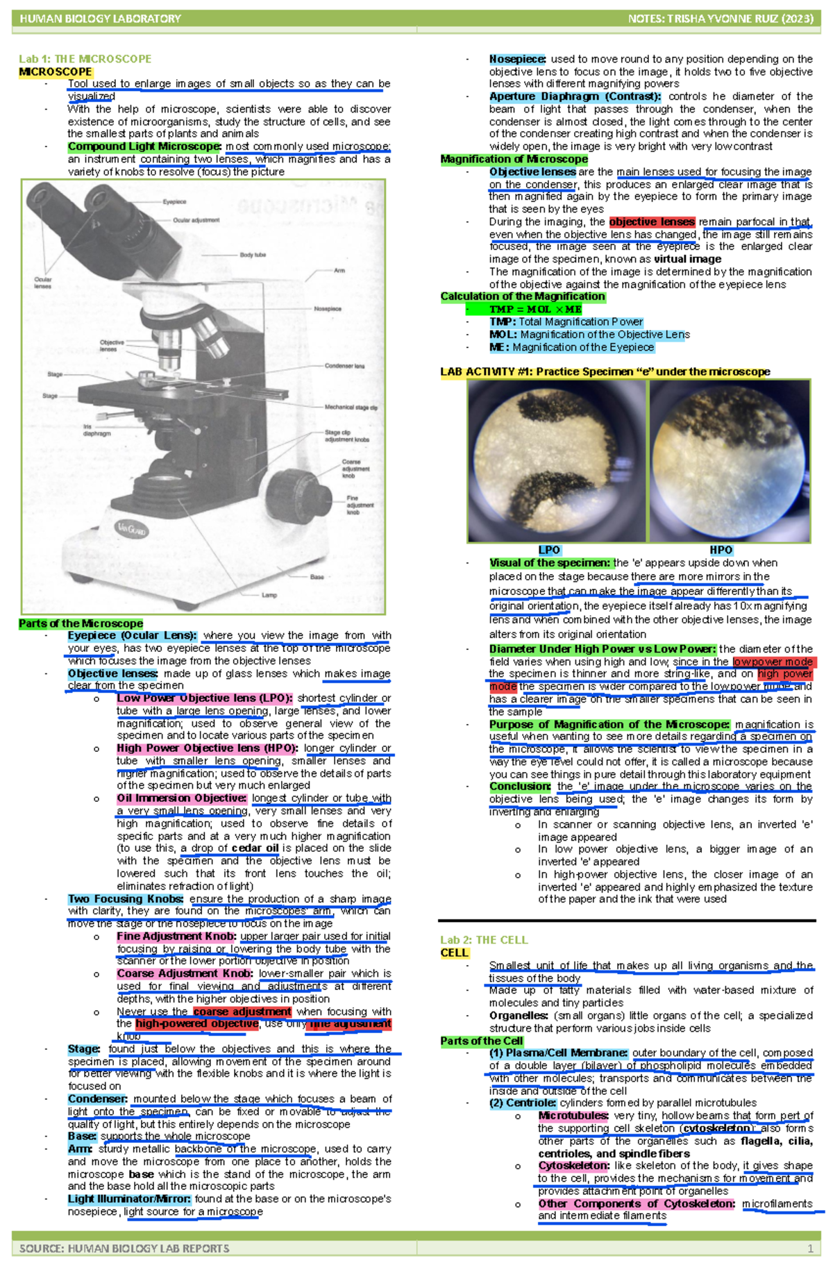 Human Biology Laboratory Notes - Lab 1: THE MICROSCOPE MICROSCOPE ...