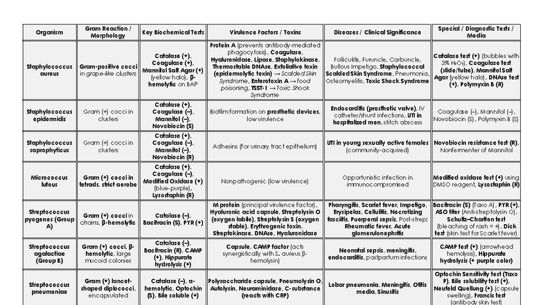 Bacte Midterm Study Guide: Key Organisms and Tests - Studocu