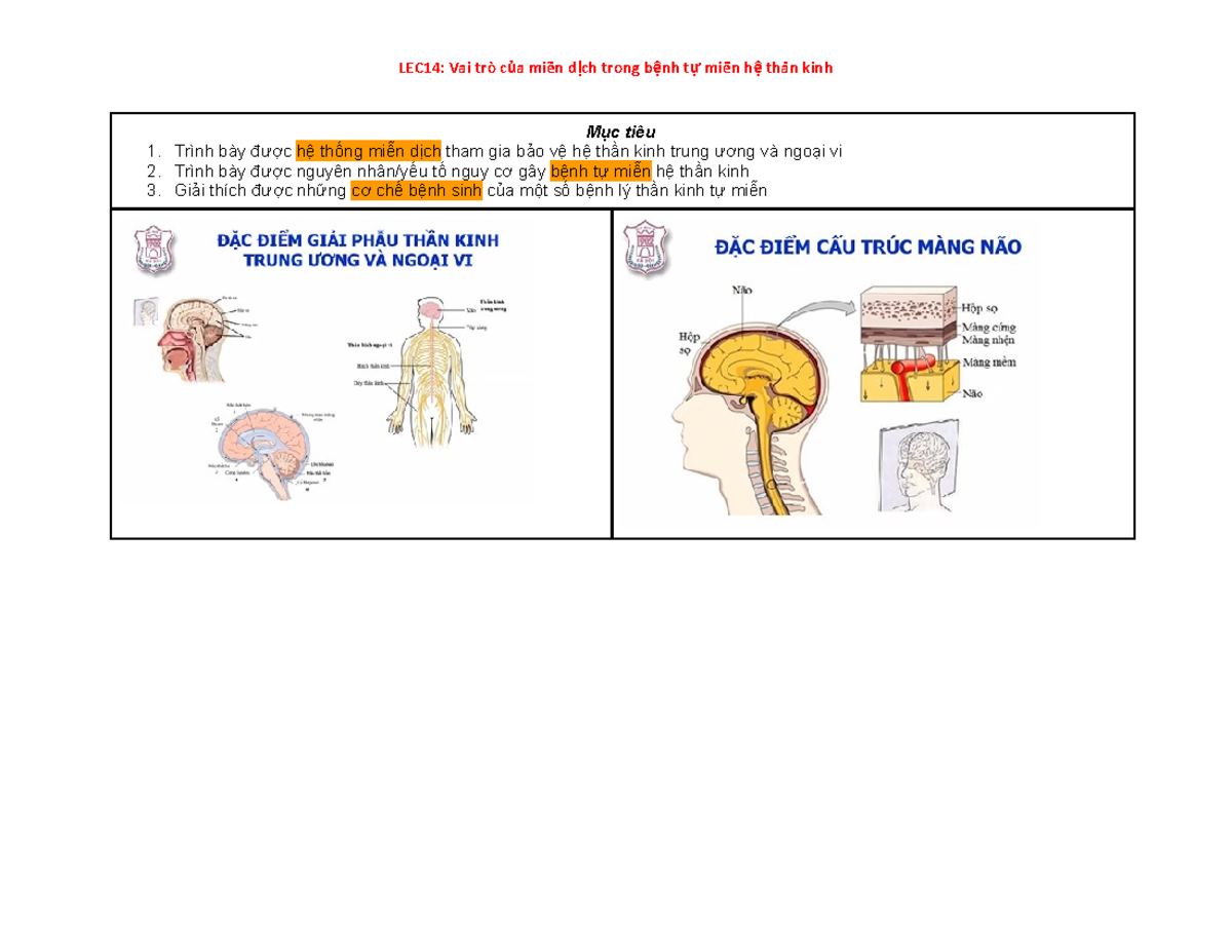 [LEC14] Vai trò của miễn dịch trong bệnh tự miễn hệ thần kinh - Mục ...