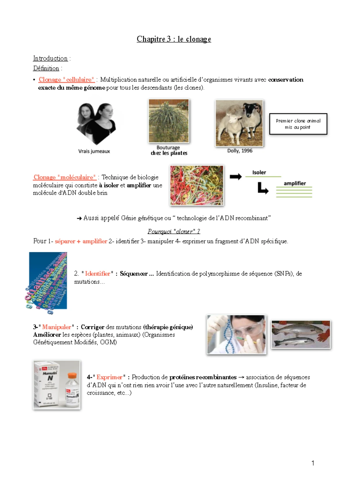 Chapitre 3 le clonage - Chapitre 3 : le clonage Introduction ...
