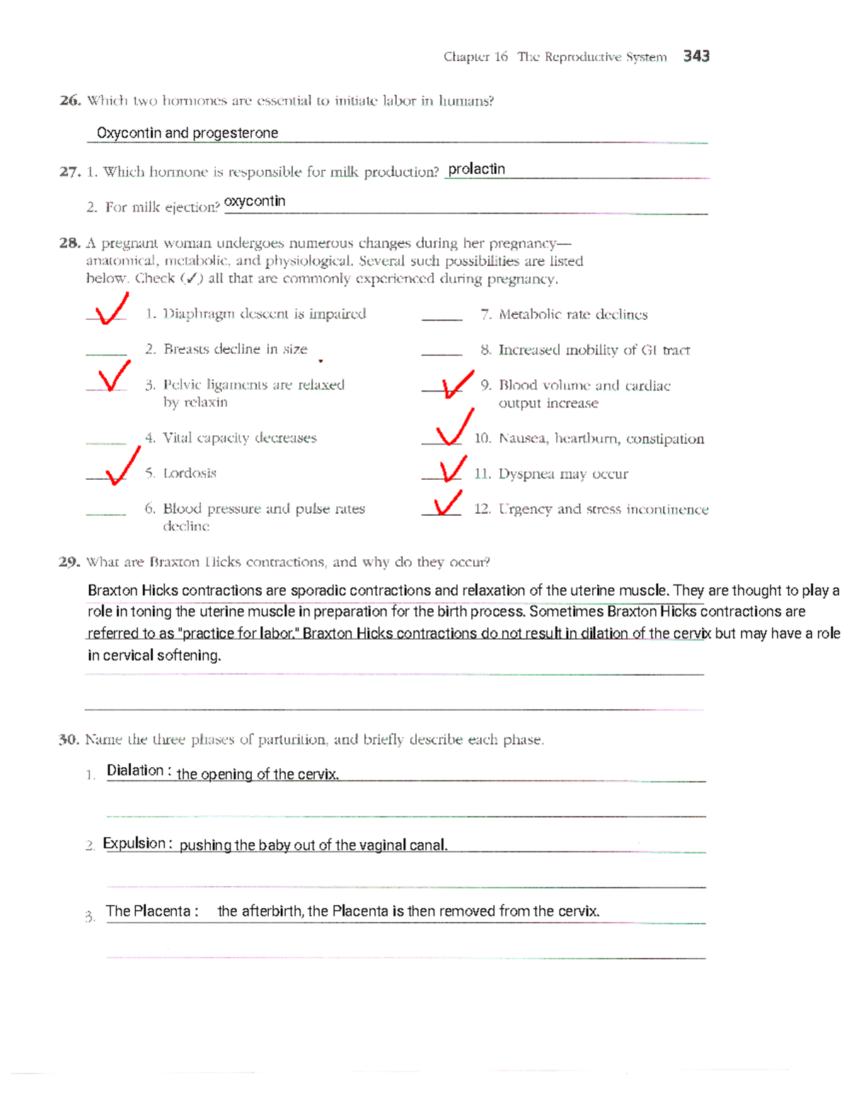 pregnancy 2 A&P worksheet - Chapter 16 The Reproductive System 26 ...