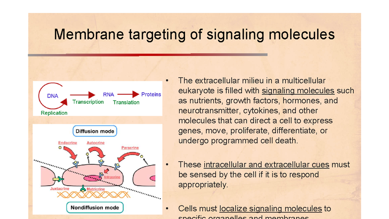 Lecture 2: Membrane Targeting of Proteins and Lipids - Studocu