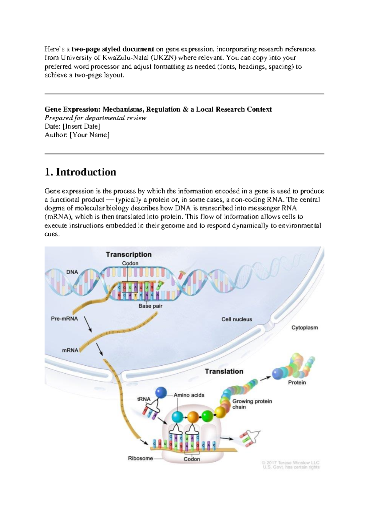 Understanding the Mechanisms and Regulation of Gene Expression (UKZN) - Studocu