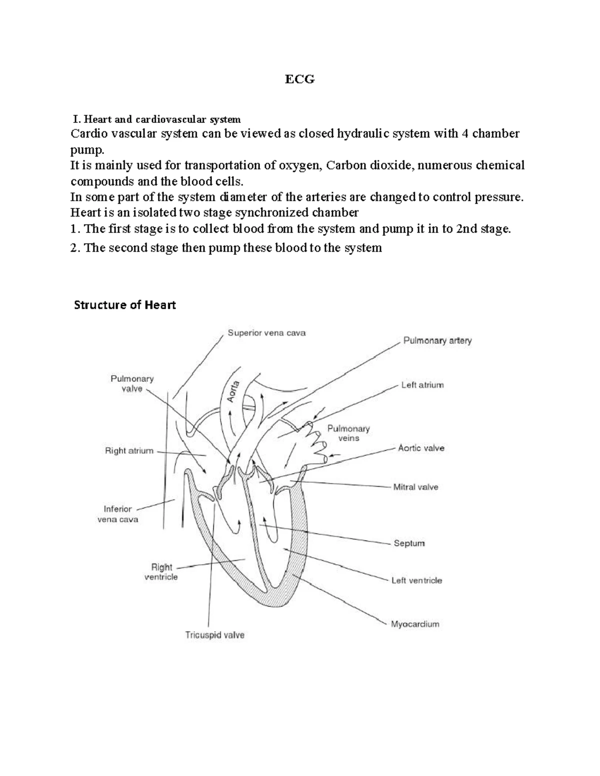Blood Pressure Measurement - UNIT 3 Measurement of blood pressure ...