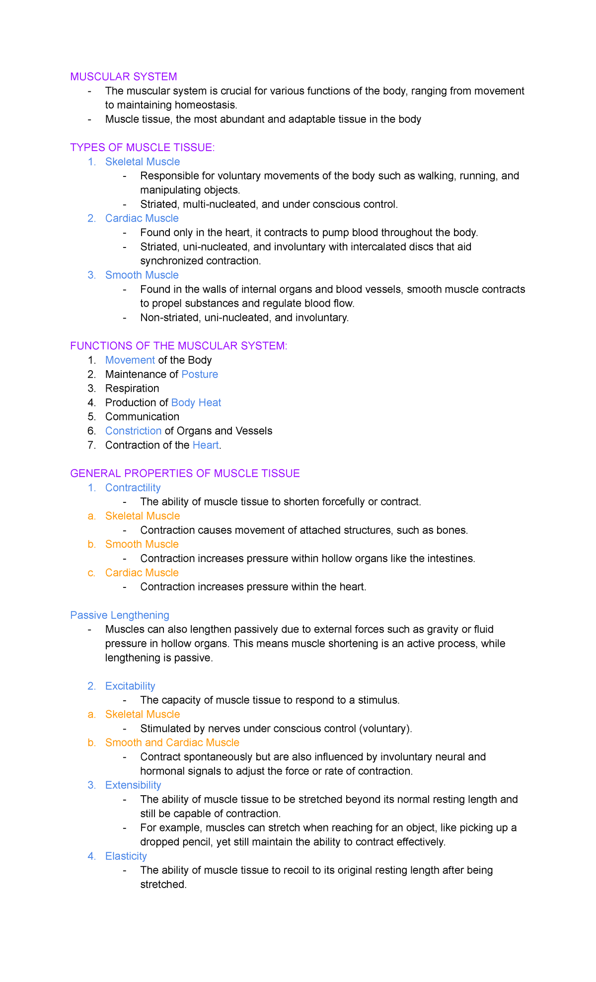 Muscular System - MUSCULAR SYSTEM The muscular system is crucial for ...