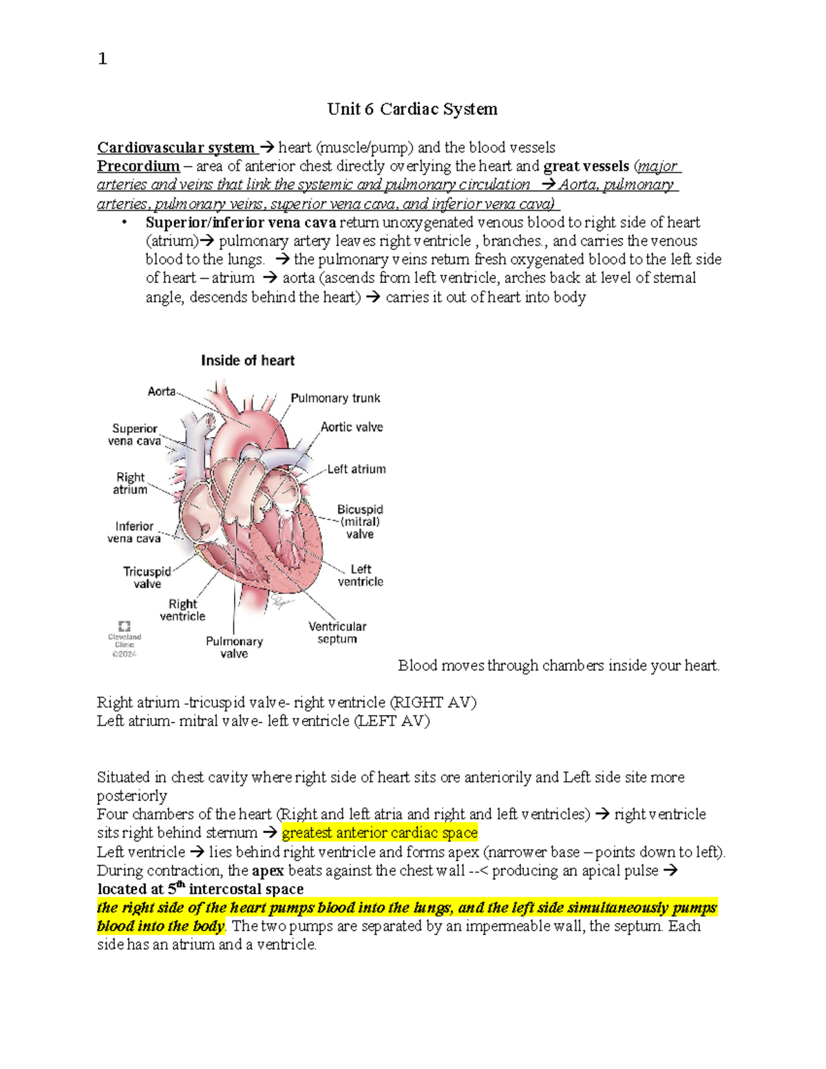 Unit 6 Cardiac System - EXAM 4 review - Unit 6 Cardiac System ...