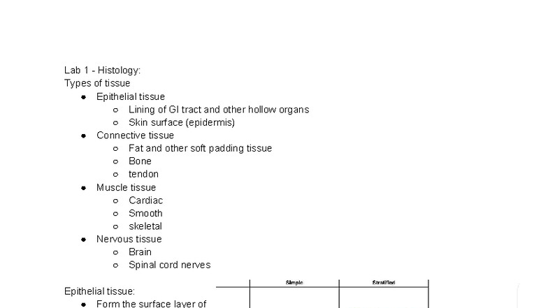 PNB Lab Practical 1 Study Guide: Histology & Axial Skeleton Overview ...