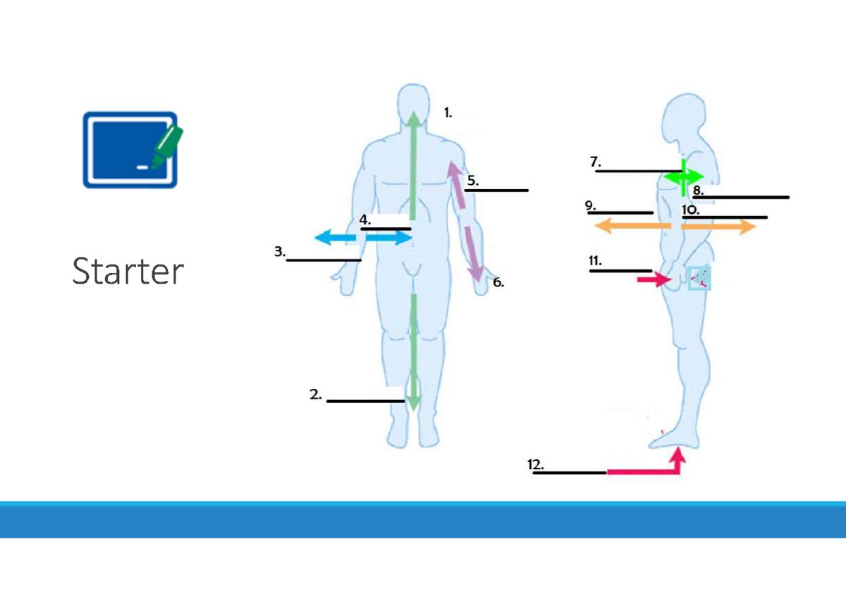 Chapter 1: The Skeletal System - Functions and Structure - Studocu