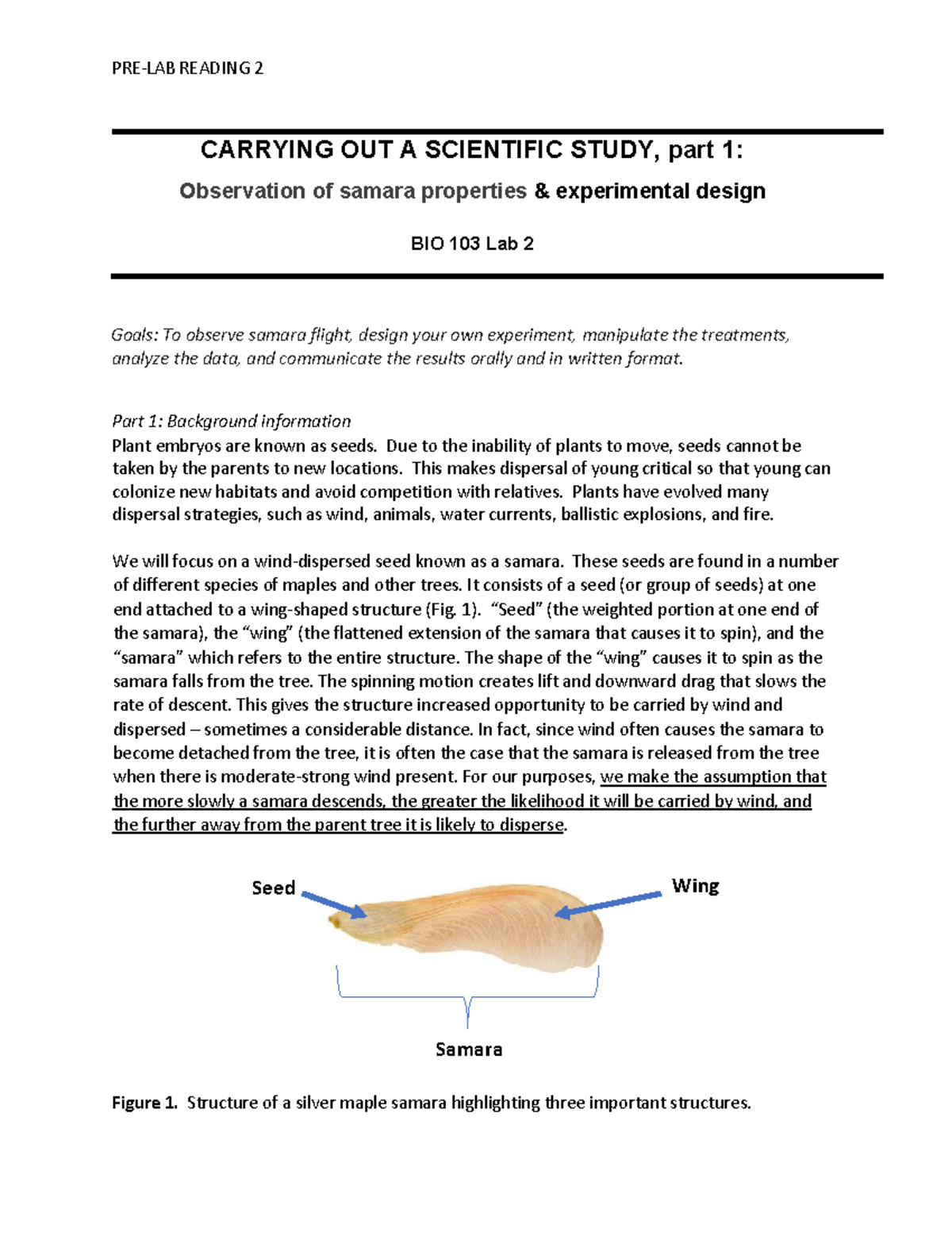 BIO 103 Lab 2: Observing Samara Properties & Experimental Design - Studocu
