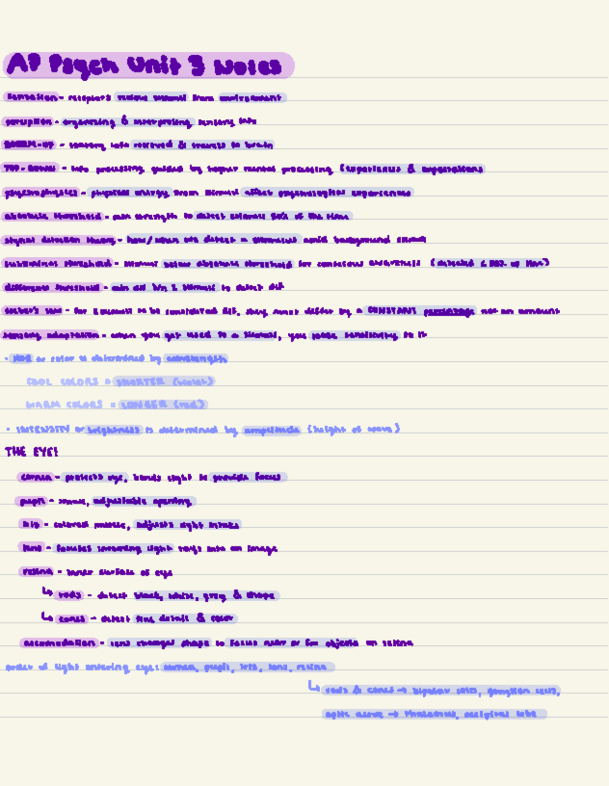 Unit 3 - AP Psychology: Sensation and Perception Notes - Studocu