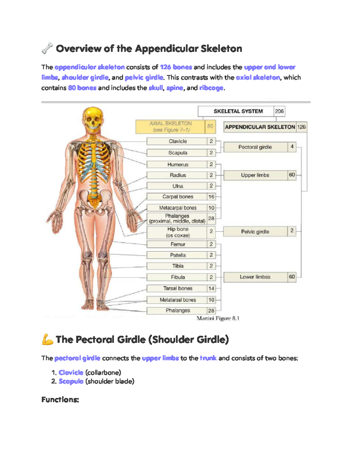 Chapter 8 (Part 2) - Overview of the Appendicular Skeleton - Studocu