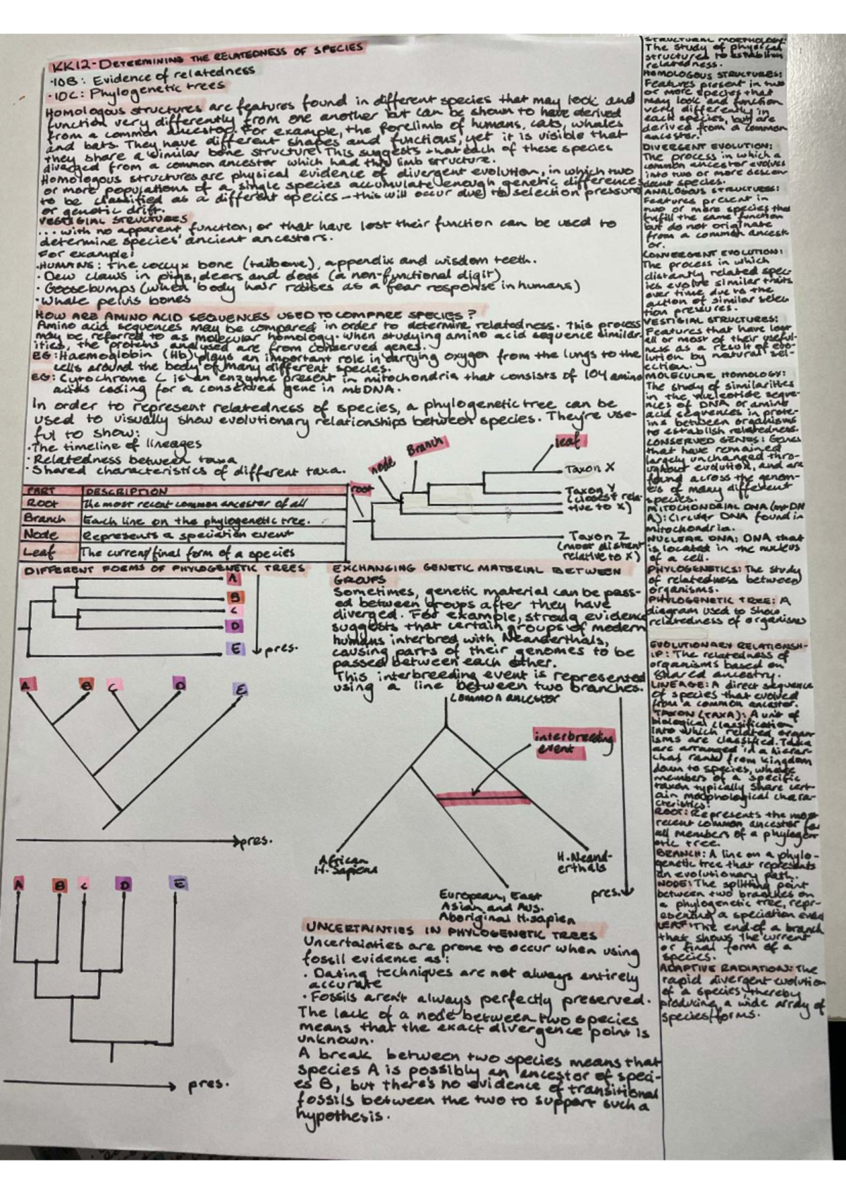 U4 AOS 2: Key Knowledge on Determining Species Relatedness - Studocu