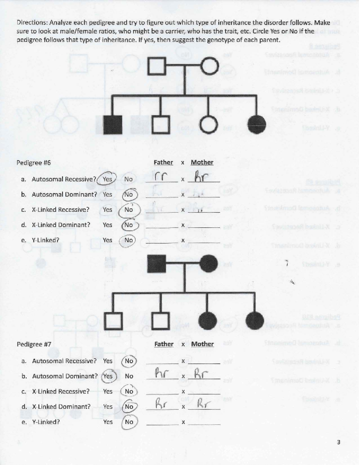 Genetics Analysis: Inheritance Patterns in Pedigrees (HPSCAN 2025 ...