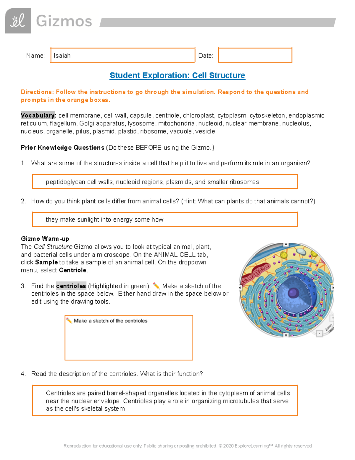 Copy of Cell Structure SE - Name: Isaiah Date: Student Exploration ...