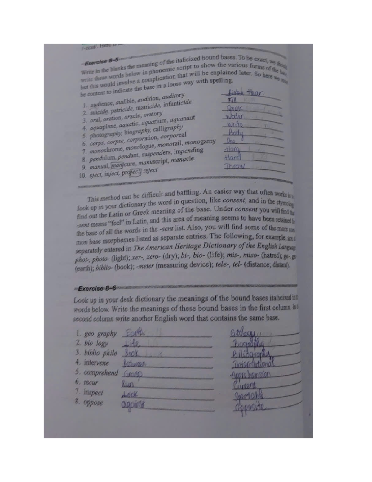 Exercise Week 1: Understanding Morphology and Bound Bases - Studocu