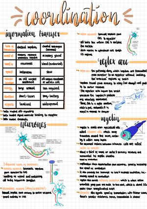 A Level Biology - ATP notes - ATP (adenosine triphosphate) Structure ...