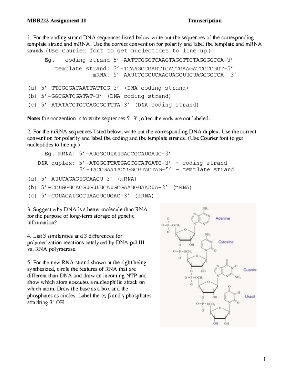 Transcription assignment - MBB222 Assignment 11 Transcription 1 For the ...
