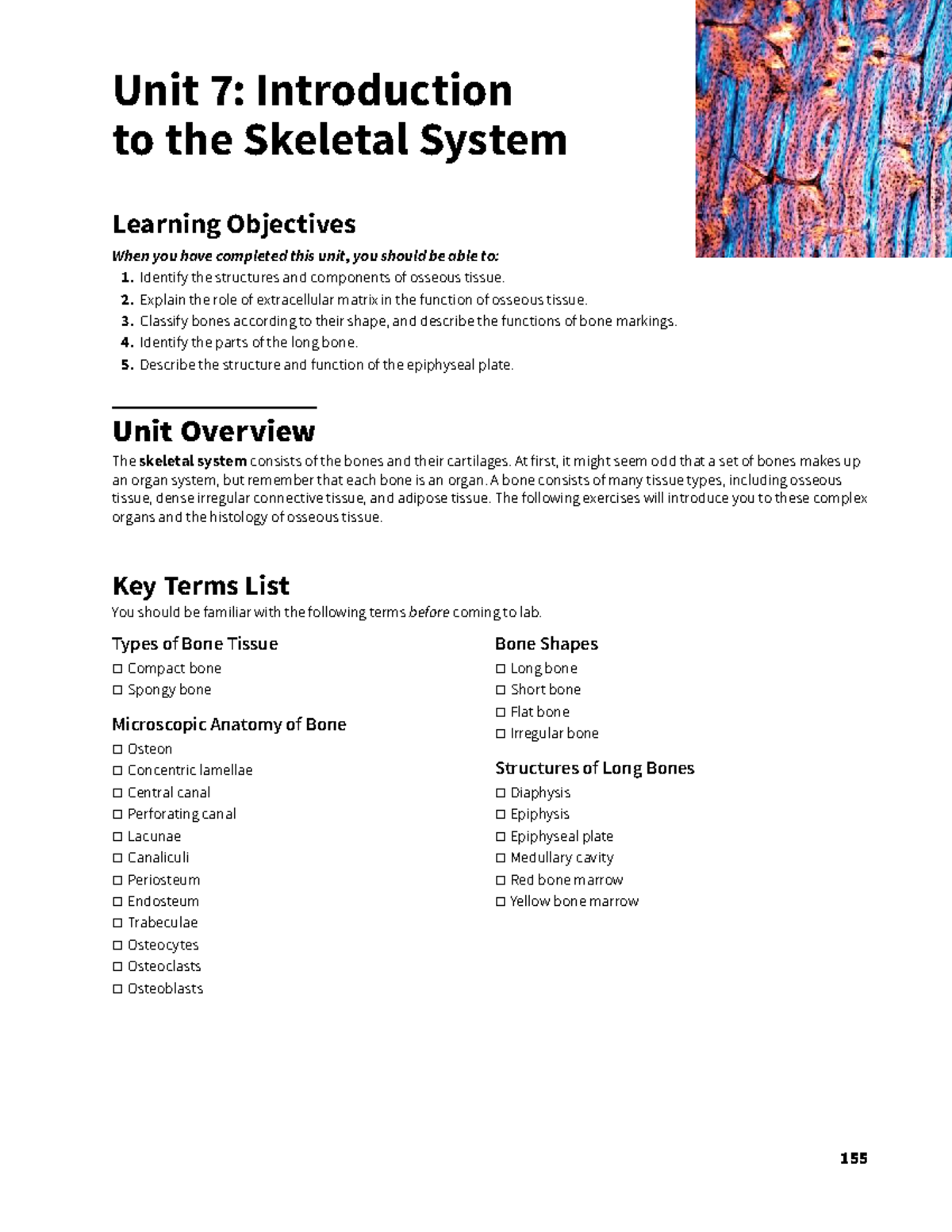 Unit 7: Overview of the Skeletal System and Bone Anatomy - Studocu