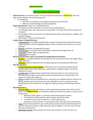NR511 Week 7 i-Human Assignment Reflection 08 - Week 7 iHuman Assignment Reflection Worksheet ...