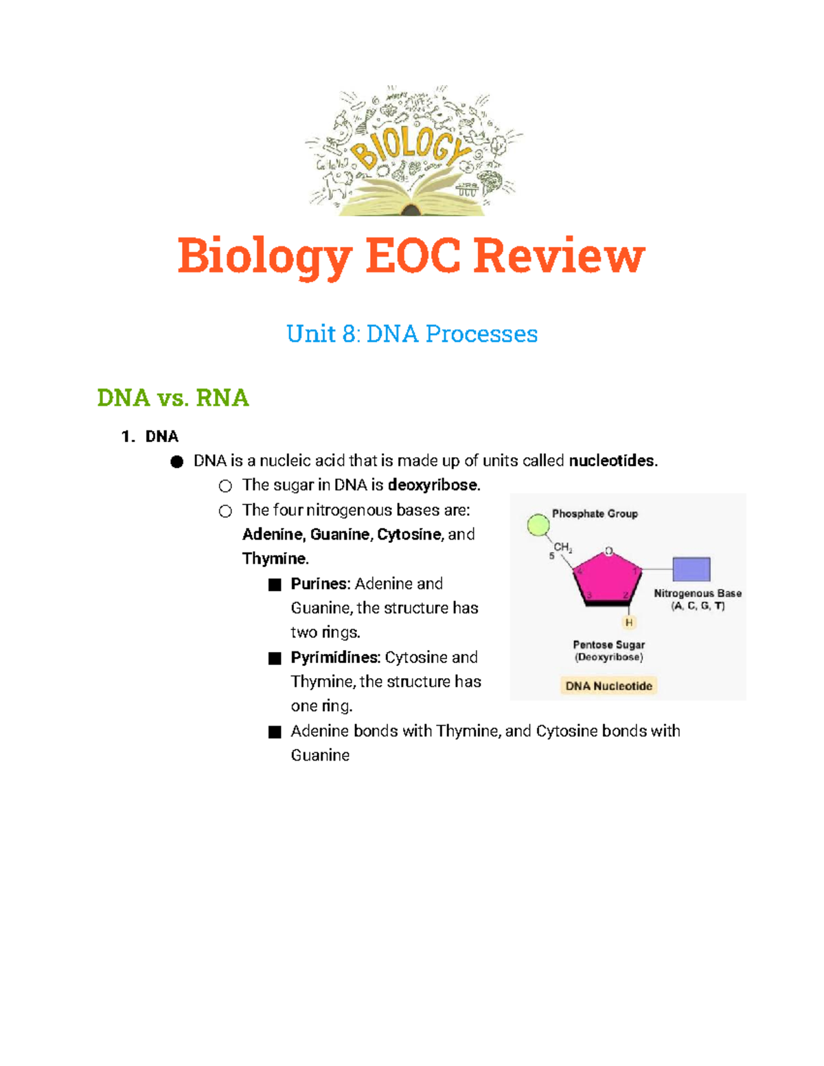Biology EOC Review: DNA Replication, Protein Synthesis, and Mutations ...