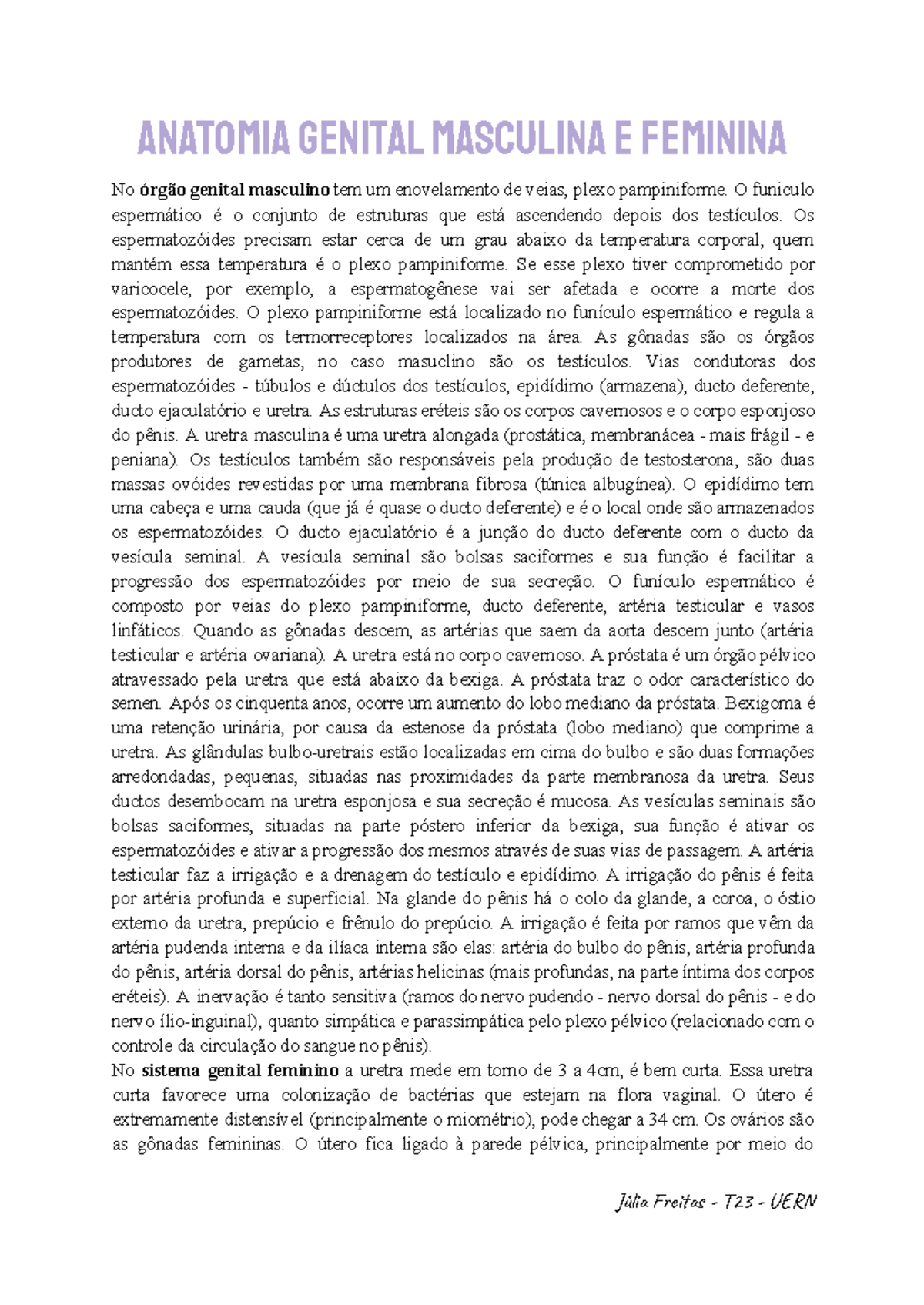 Anatomia genital masculina e feminina - O funiculo espermático é o ...