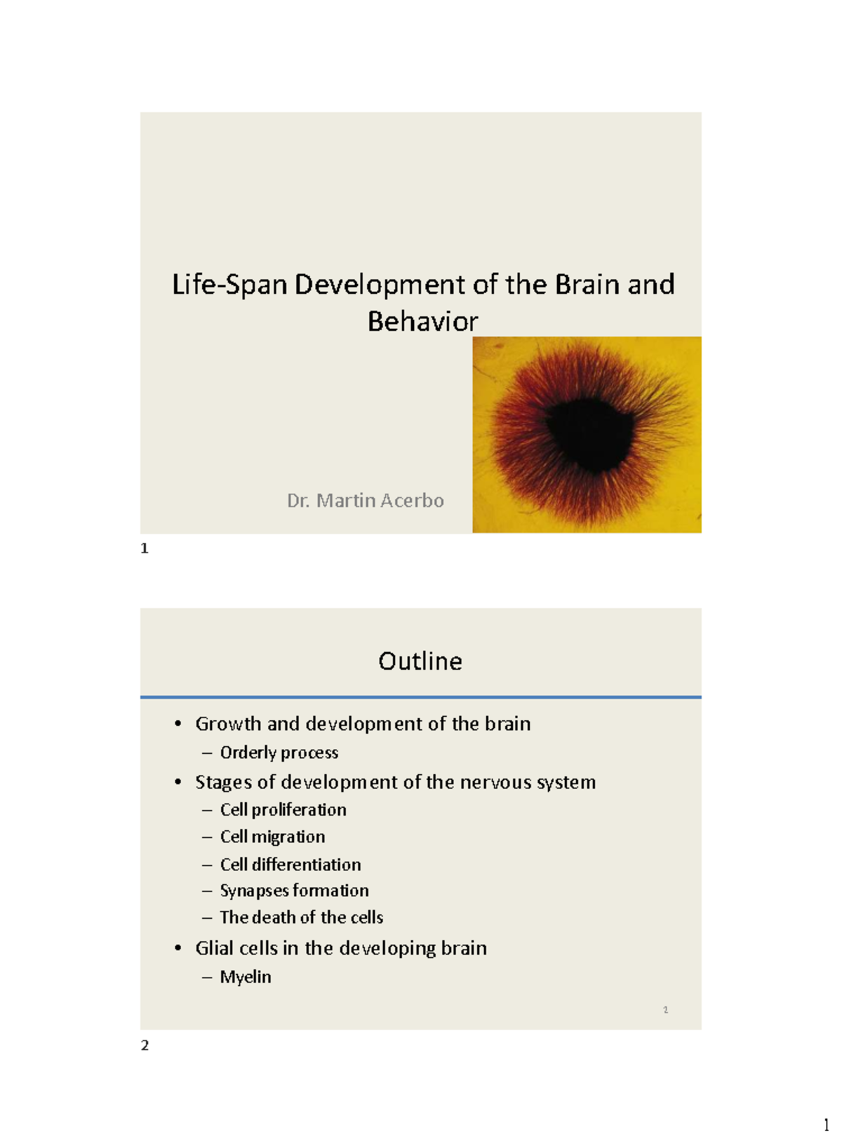 Biological Psychology 6e: Development of Brain & Behavior Overview ...