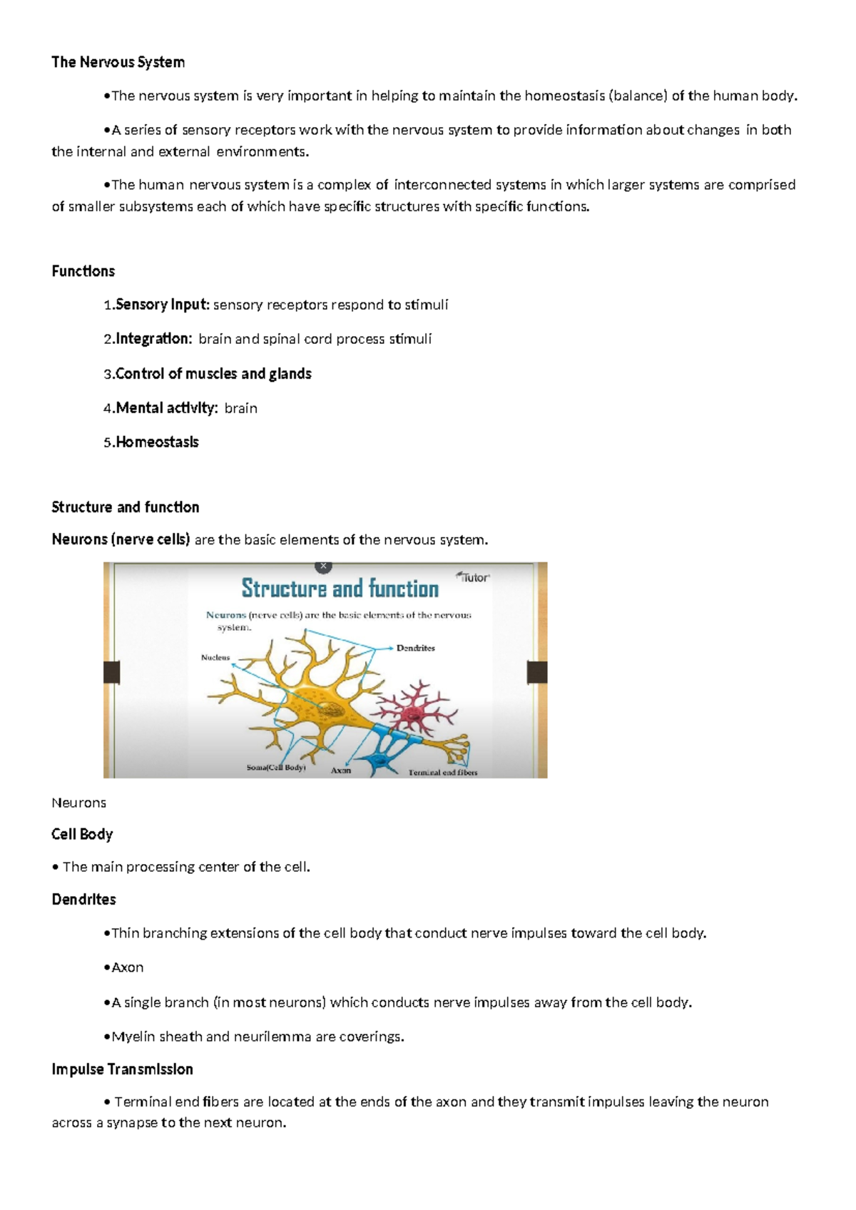 Anaphy: The Nervous System Overview and Functions - Studocu