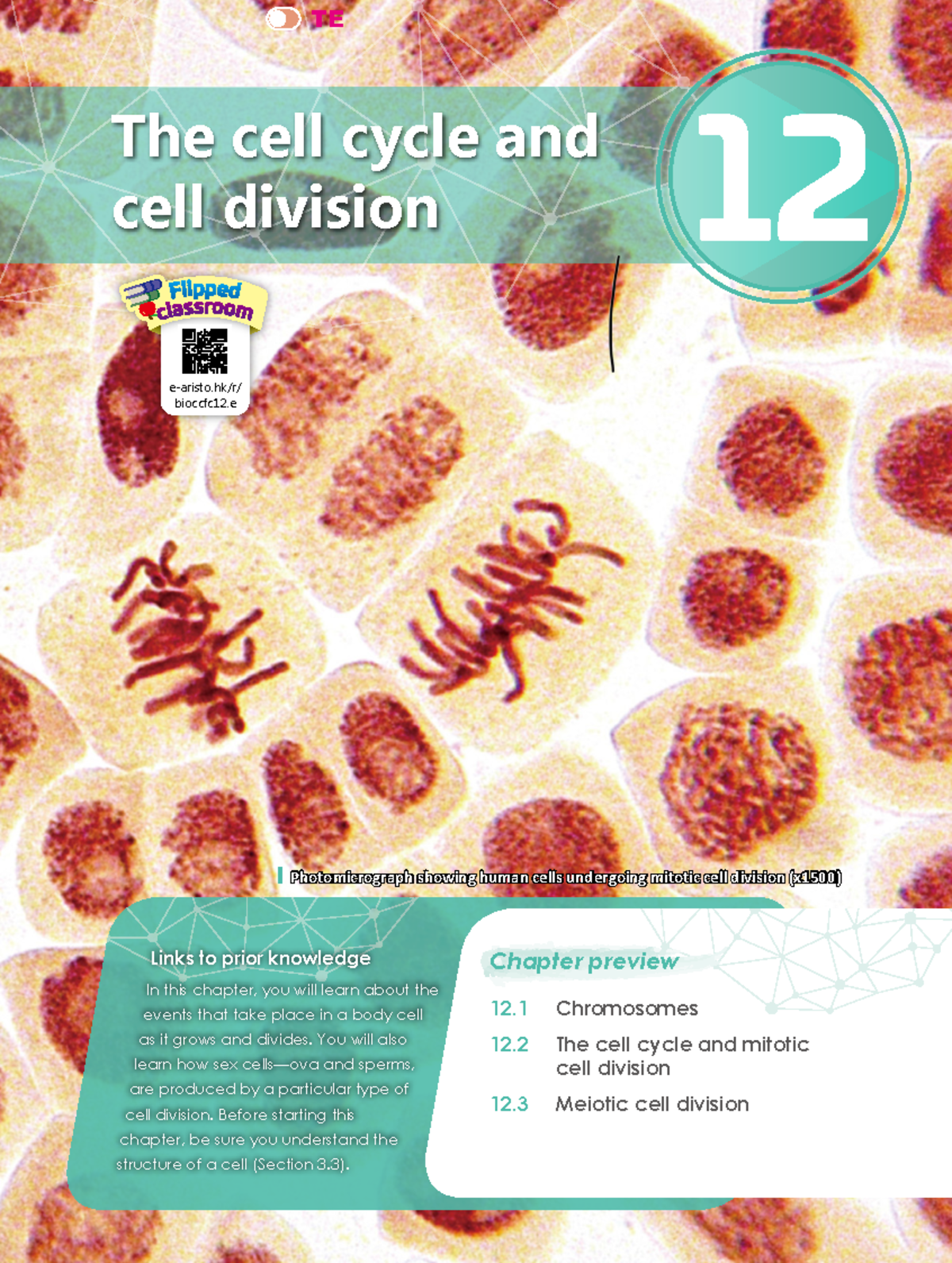 Chapter 12: The Cell Cycle & Division (E Textbook 12) - Studocu
