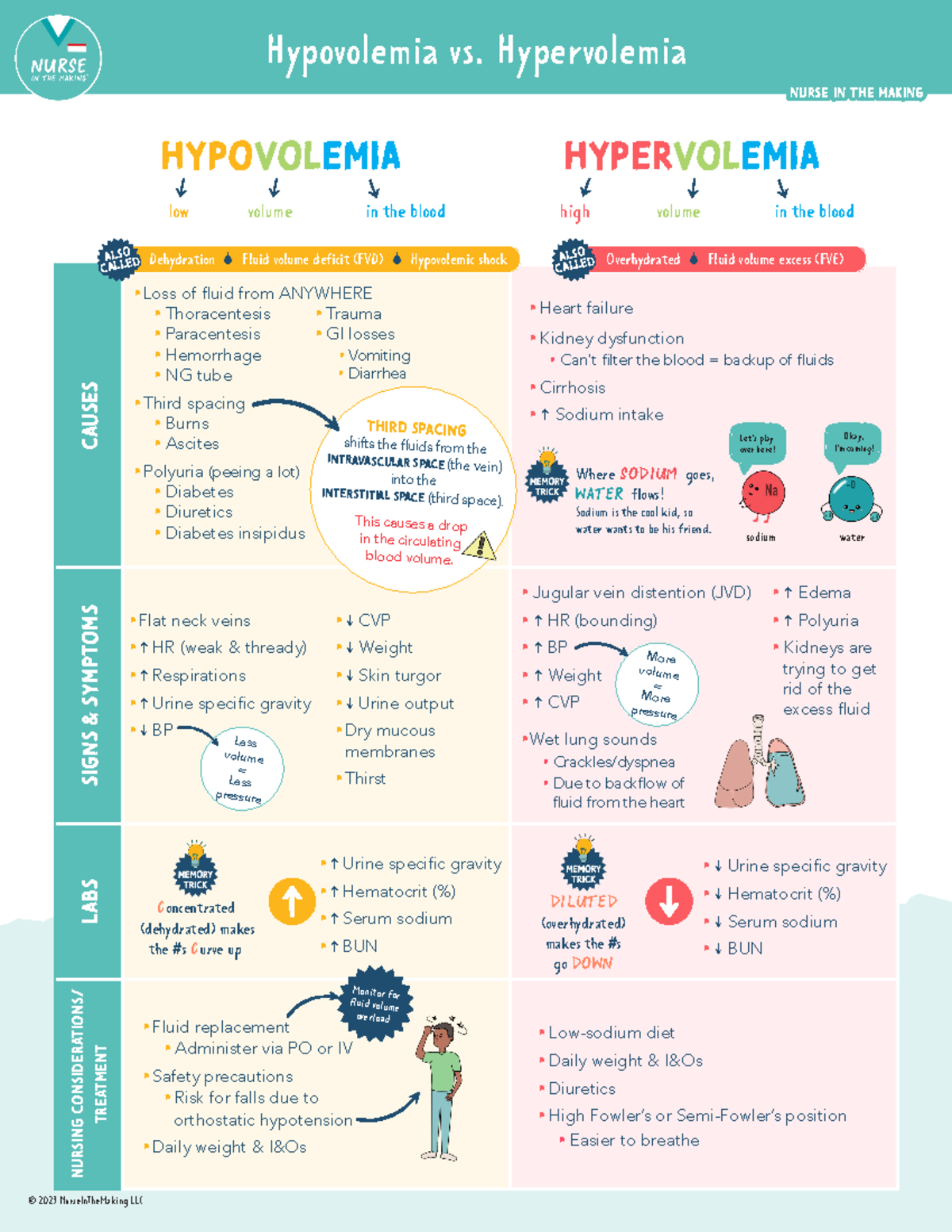 Hypovolemia and Hypervolemia: Nursing Considerations and Treatment ...