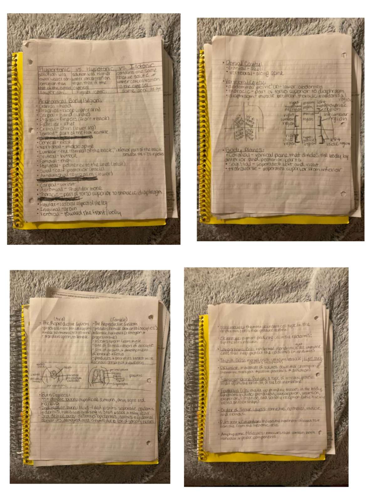 Course Codes and Regulatory Requirements: A Comprehensive Overview ...