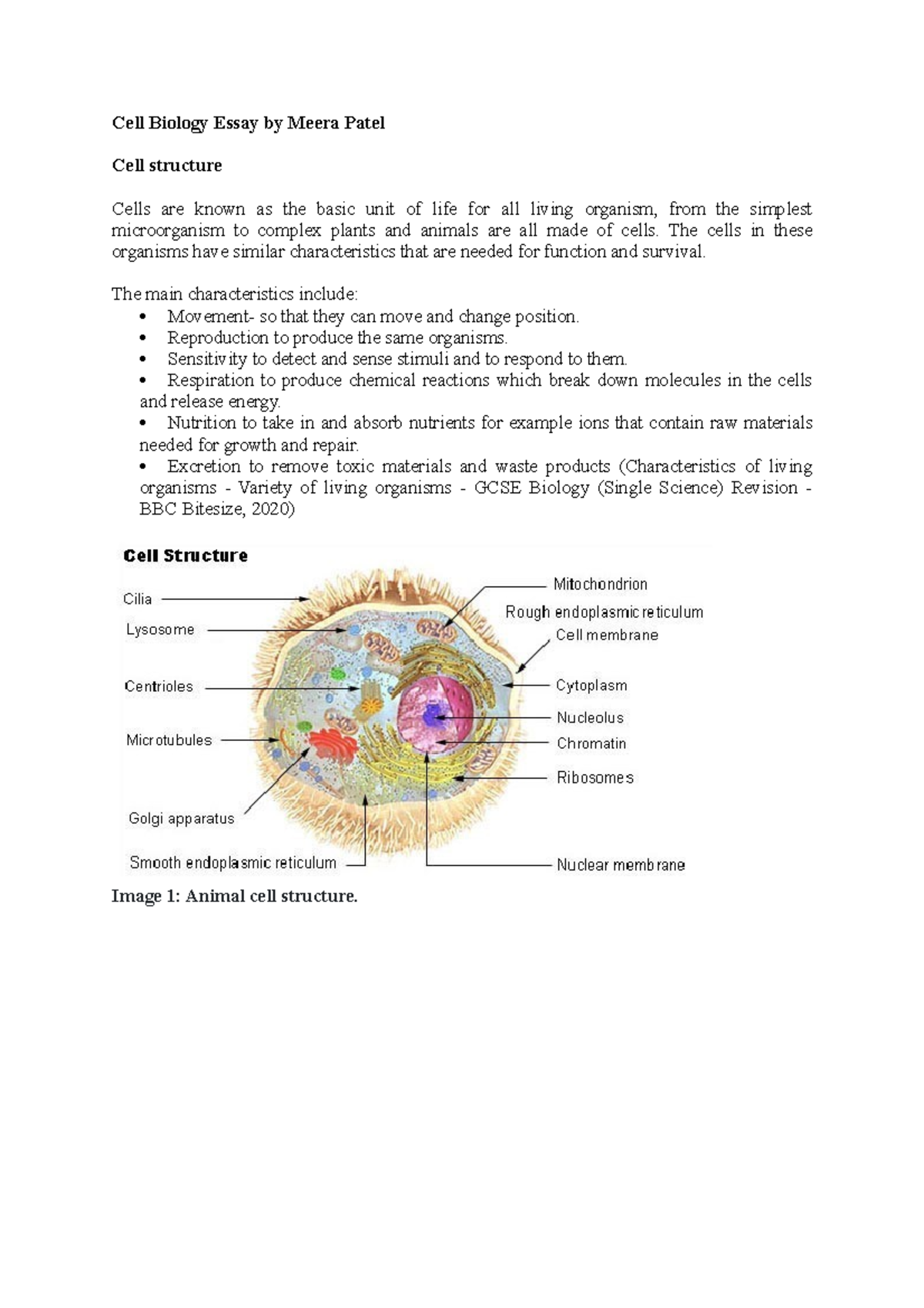 Cell Biology Essay (BIO101): Exploring Cell Structure & Function - Studocu
