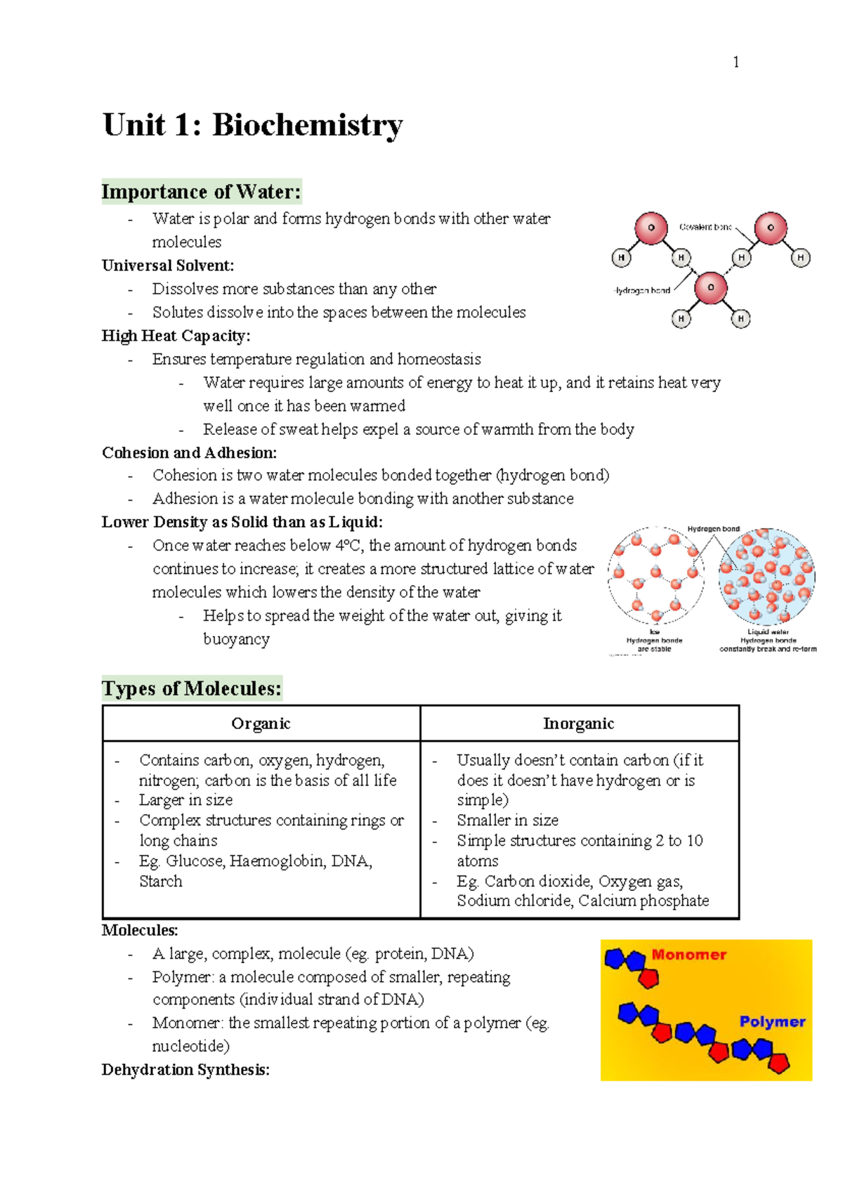 SBI4U Final Exam Biochemistry Study Notes: Key Concepts and Molecules ...