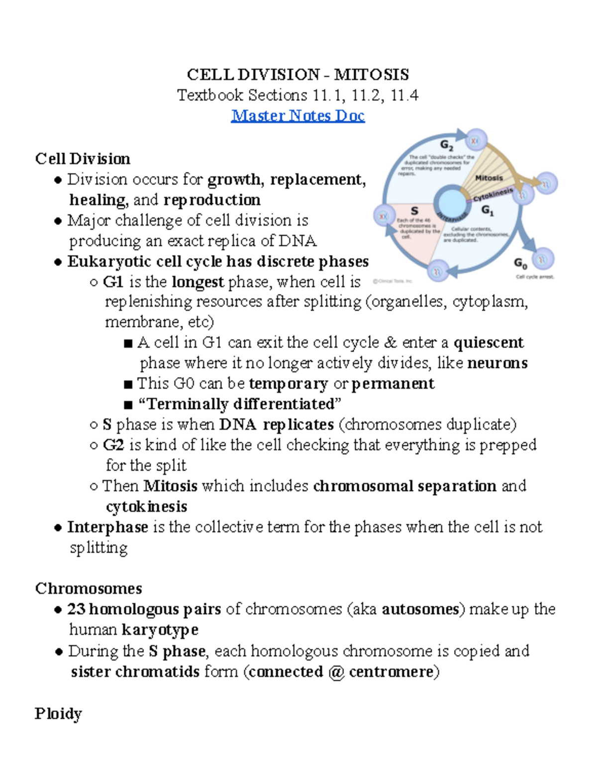 BIOL 1090 W21 Midterm Study Notes: Cell Division & Genetics Overview ...