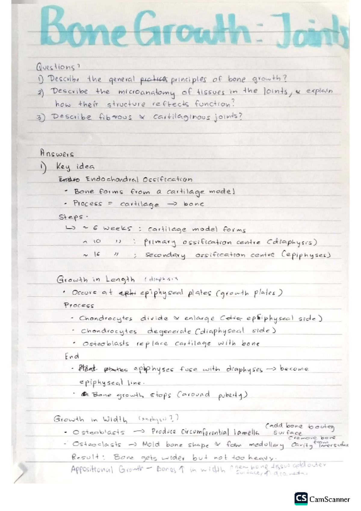 Bone Growth Principles and Processes: A Comprehensive Overview - Studocu